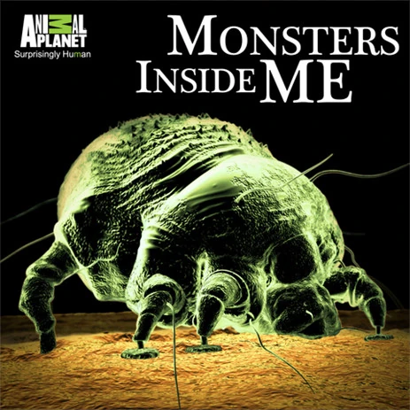 Season 4 | Monsters inside me Wiki | Fandom