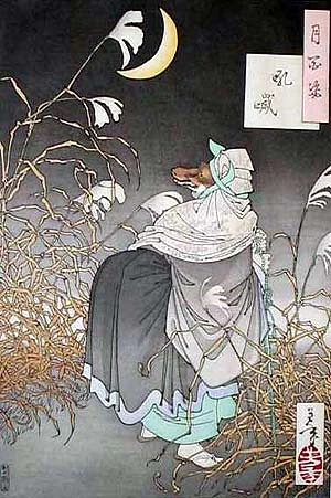 Kitsune | WikiBestiary | Fandom