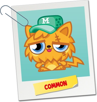Kitties | Monstersmoshlings Wiki | Fandom