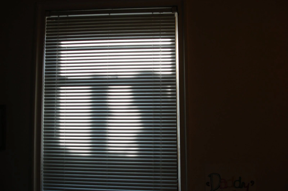 The Thing In The Window | Monsterspedia Wiki | Fandom