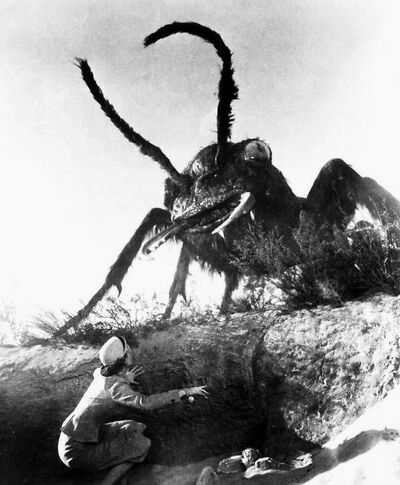 The Giant Ants | Monsterspedia Wiki | Fandom
