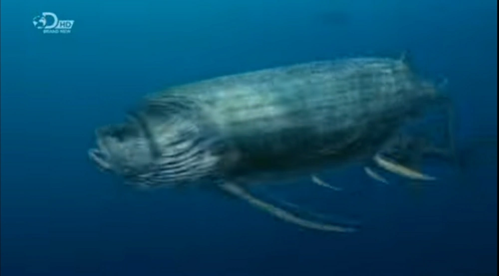 Xiphactinus | Monsters Resurrected Wiki | Fandom