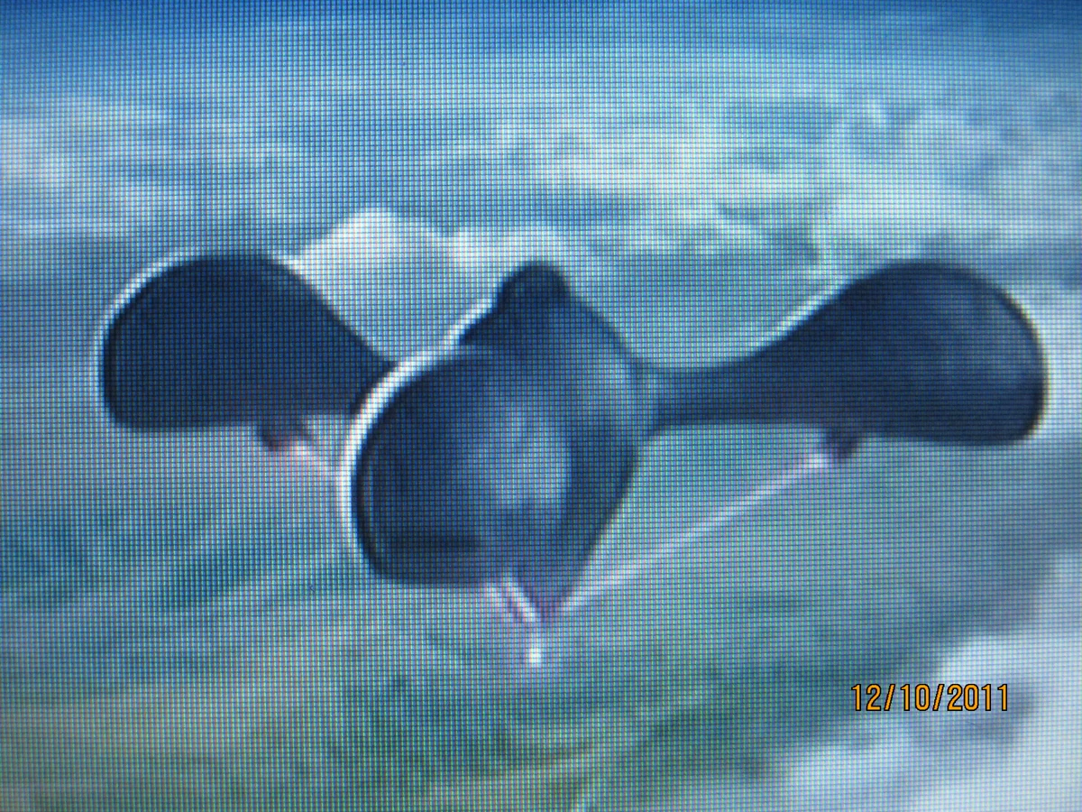 Gallaxhar's ship | Monsters vs. Aliens Wiki | Fandom