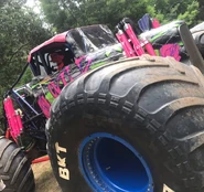 Wild Flower | Monster Trucks Wiki | Fandom