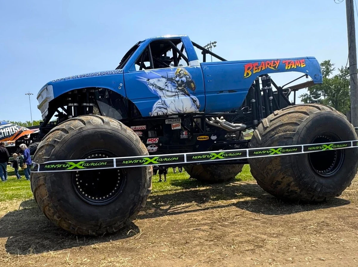 Bearly Tame (Schmidt) | Monster Trucks Wiki | Fandom