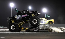 Bison | Monster Trucks Wiki | Fandom