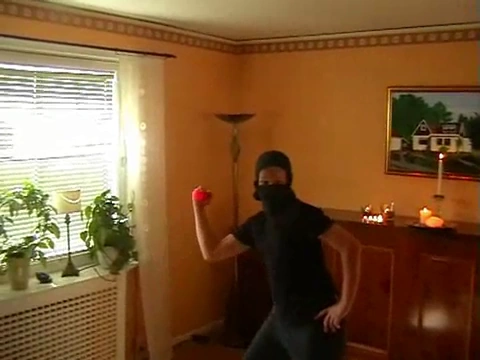 Ninja 1 | Fjantopedin | Fandom