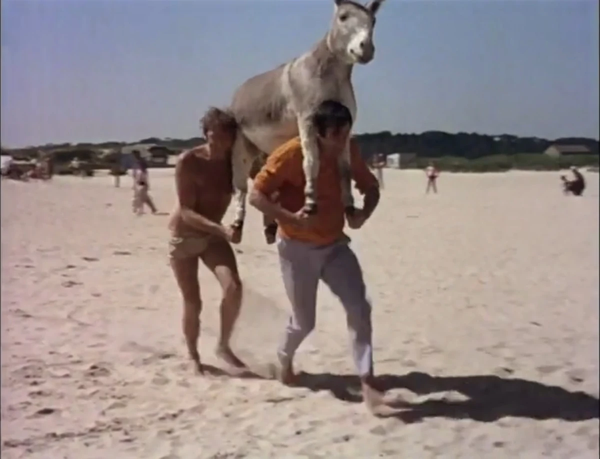 Donkey Rides | Monty Python Wiki | Fandom