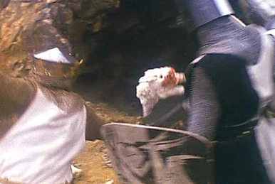 monty python rabbit attack