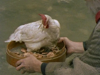 Chicken Mining | Monty Python Wiki | Fandom