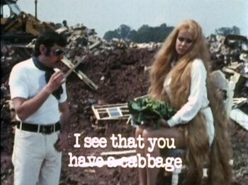 French Subtitled Film | Monty Python Wiki | Fandom