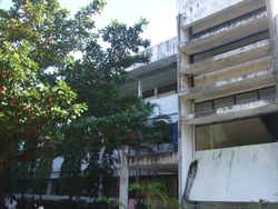 Building 3 | Moo Heng Wiki | Fandom