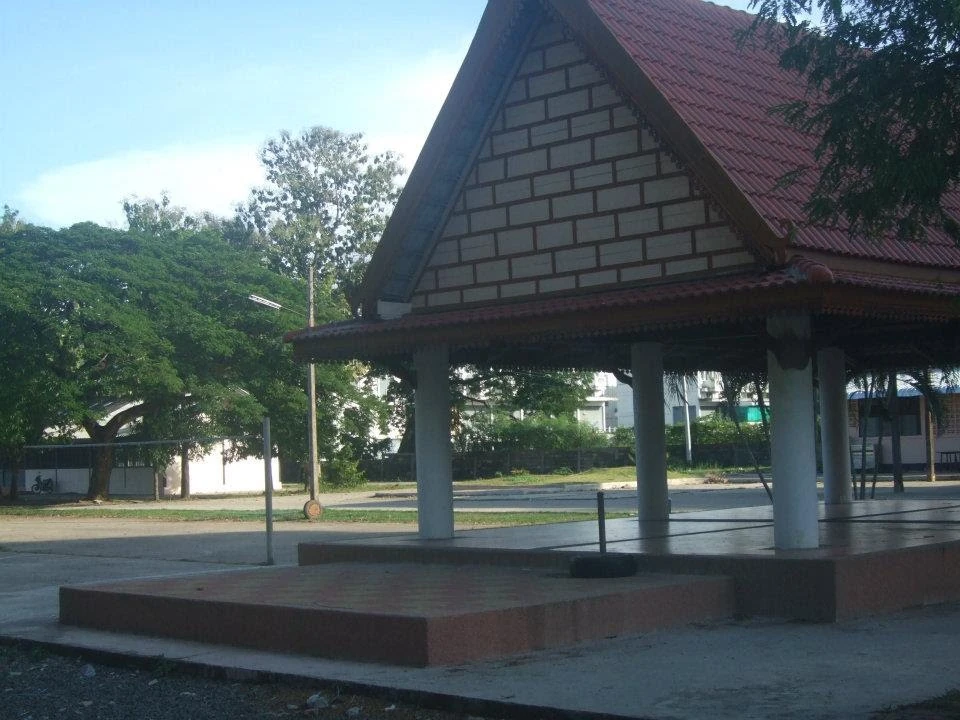 Table Tennis Court | Moo Heng Wiki | Fandom