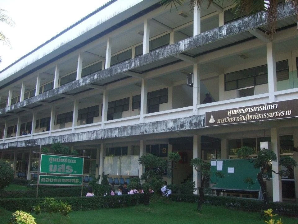 Building 5 | Moo Heng Wiki | Fandom