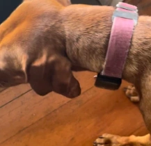 Category:Characters | Mooler Tree Wiki | Fandom