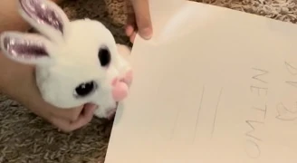 Spa Network Staff Bunny | Mooler Tree Wiki | Fandom