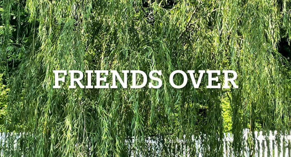 Friends Over | Mooler Tree Wiki | Fandom