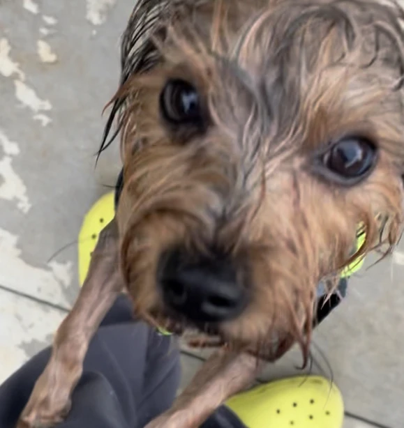 Stuie | Mooler Tree Wiki | Fandom