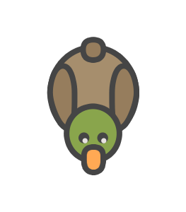 Duck 1 | MooMoo.io Wiki | Fandom