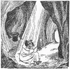 The Muskrat | Moomin Wiki | Fandom