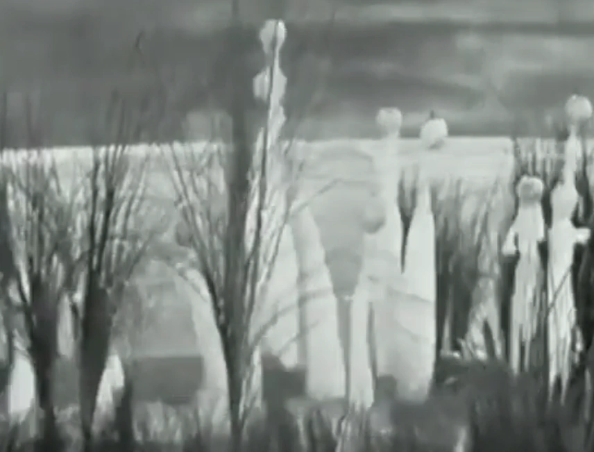 Hatifnatowie/Galeria | Muminki Wiki | Fandom