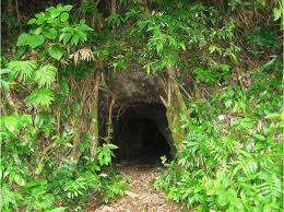 LEADERS' DEN | Moon Clan Wiki | Fandom