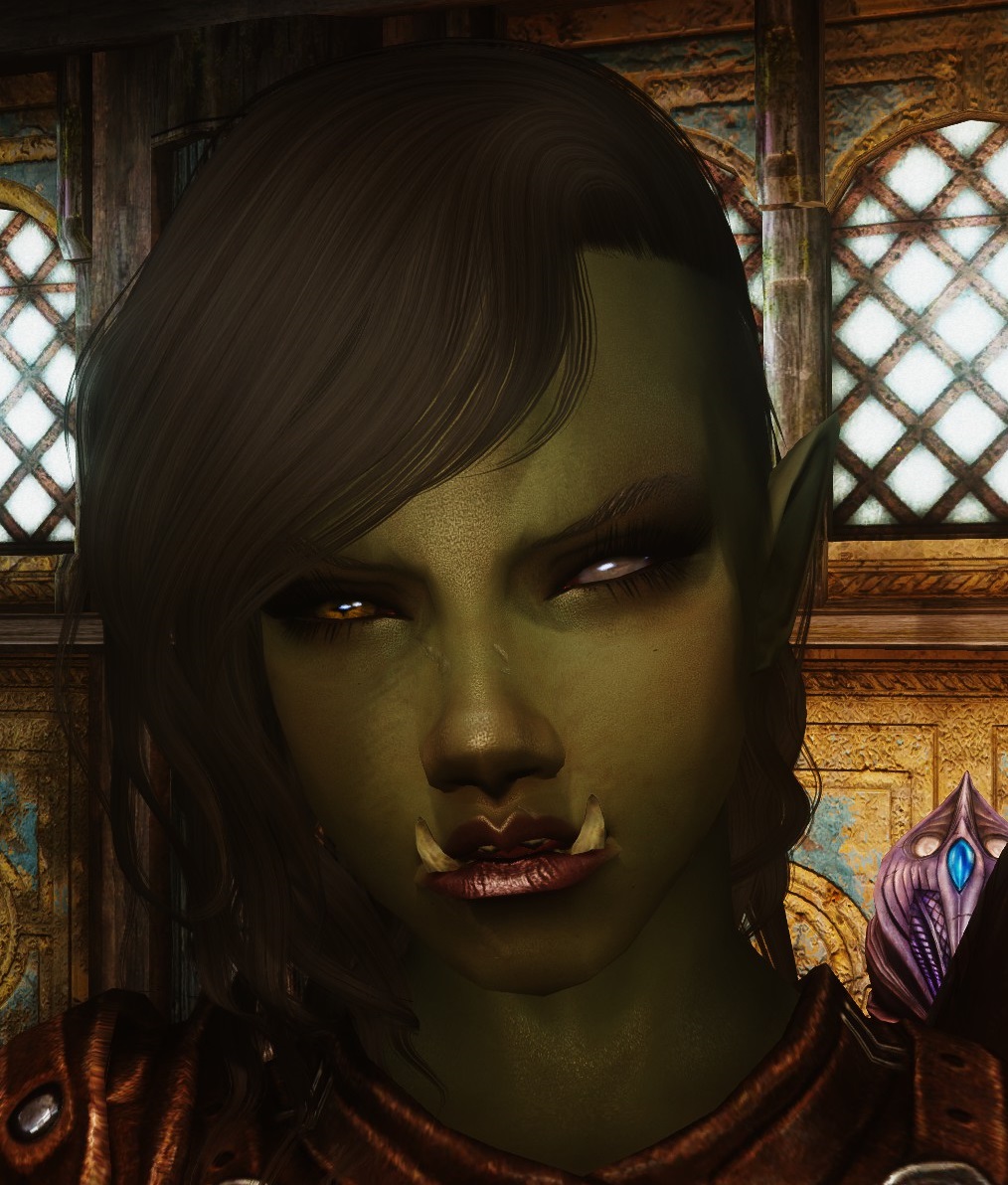 Category:Half Orc | Moon Guard Wiki | Fandom