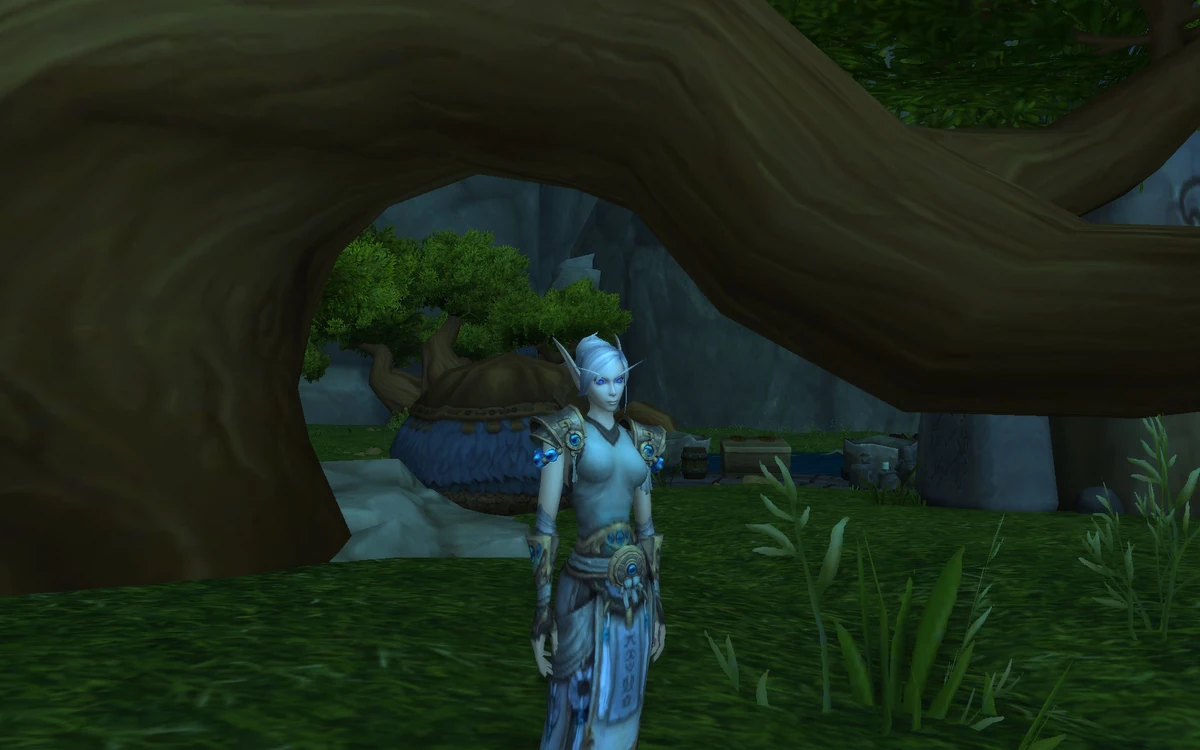 Que'la Windwalker | Moon Guard Wiki | Fandom