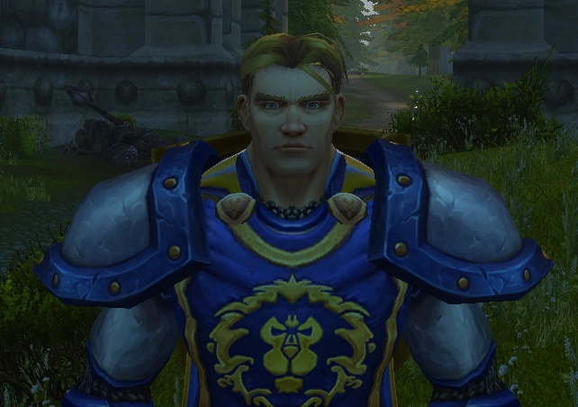 Roy Sebale | Moon Guard Wiki | Fandom