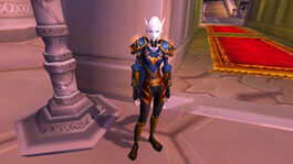 Dalaran Guard | Moon Guard Wiki | Fandom