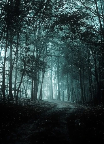 Echo Woods | Moon Guard Wiki | Fandom