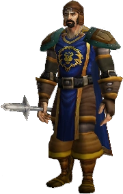 Stormwind Army Field Manual: Uniforms (Arms and Armor) | Moon Guard ...