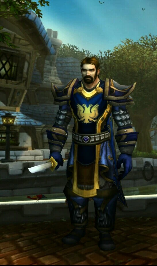 Aerin Phoenixshield | Moon Guard Wiki | Fandom
