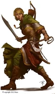 Eridan Silverwood | Moon Guard Wiki | Fandom