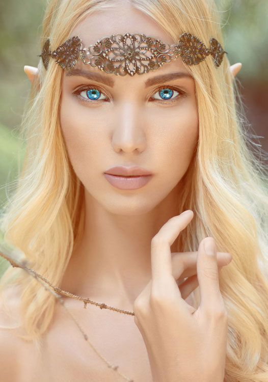 Category:High Elf Houses | Moon Guard Wiki | Fandom Category:High Elf Houses | Moon Guard Wiki | Fandom