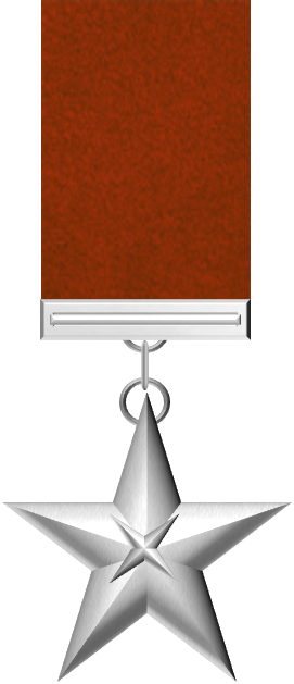 Stormwind Commendation For Valor Moon Guard Wiki Fandom