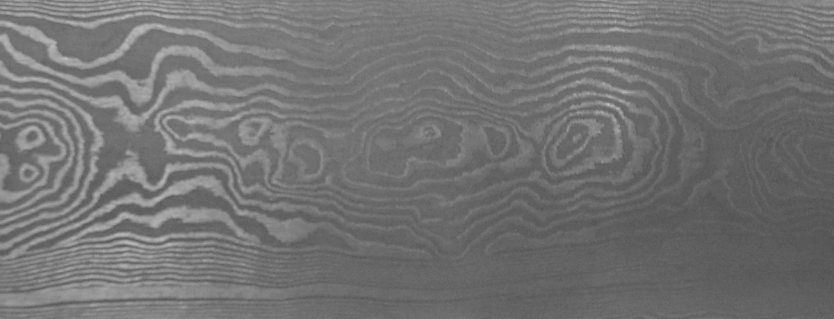 Sharp Steel | Moon Guard Wiki | Fandom