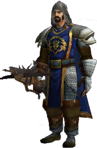 Stormwind Army Field Manual: Uniforms (Arms and Armor) | Moon Guard ...
