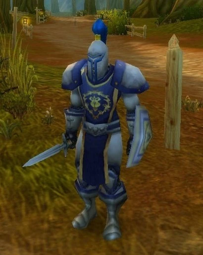 Elwynn Brigade | Moon Guard Wiki | Fandom