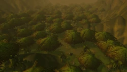 Swamp of Sorrows | Moon Guard Wiki | Fandom