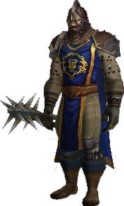 Stormwind Army Field Manual: Uniforms (Arms and Armor) | Moon Guard ...