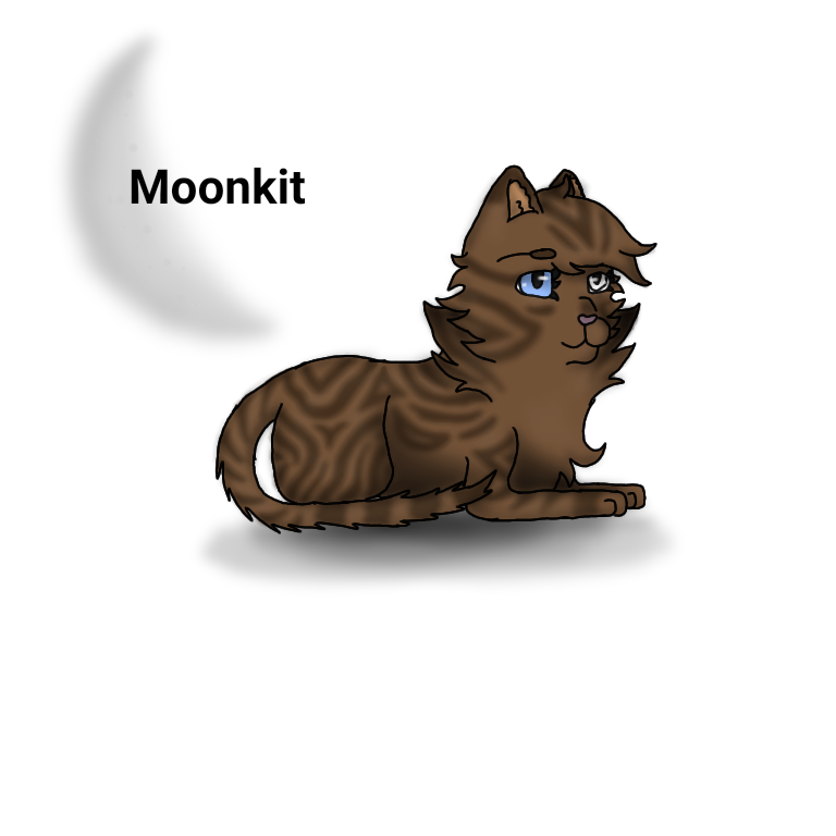 Moonkit | Moonclan&Sunclan Wiki | Fandom