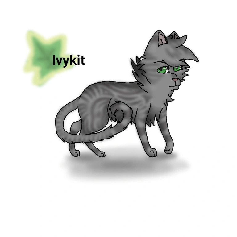 Ivykit | Moonclan&Sunclan Wiki | Fandom