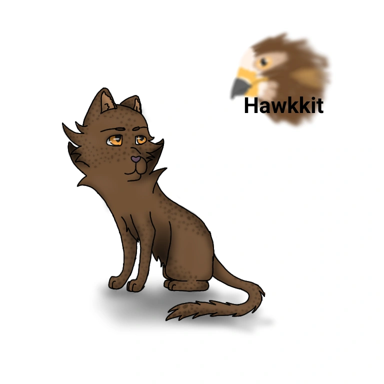Hawkkit | Moonclan&Sunclan Wiki | Fandom