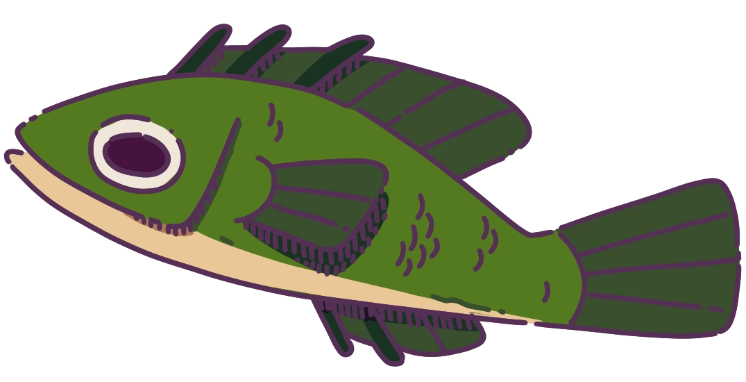 Cunner | Moonglow Bay Wiki | Fandom