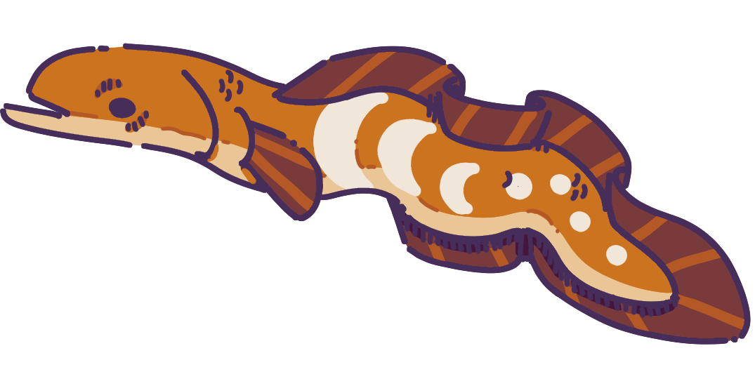 Moon Eel | Moonglow Bay Wiki | Fandom