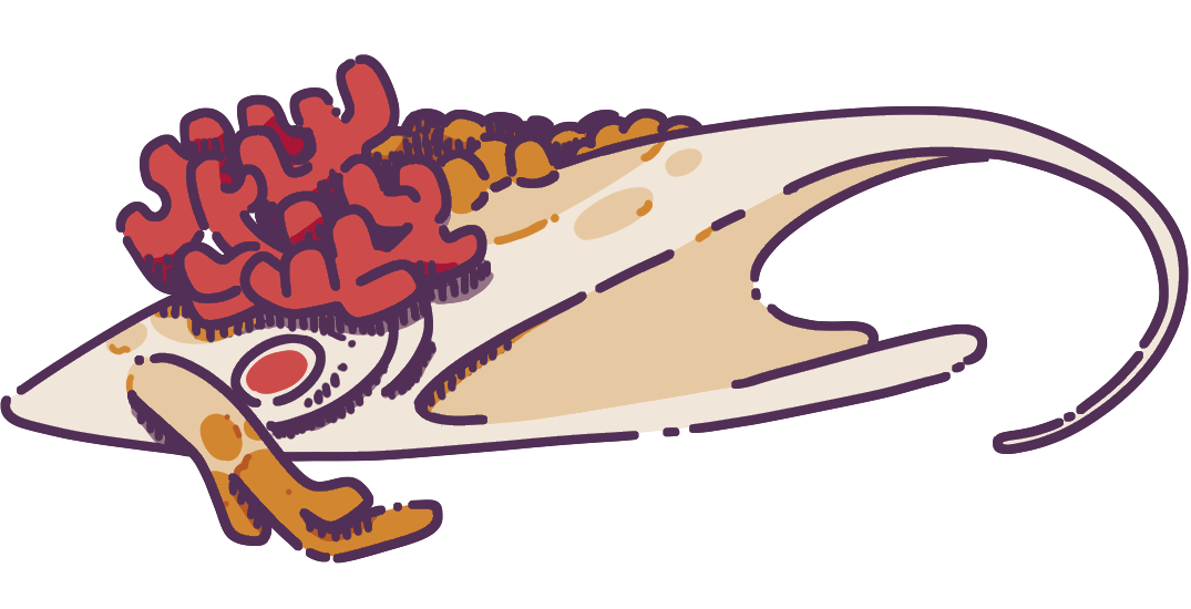 Coral Ray | Moonglow Bay Wiki | Fandom