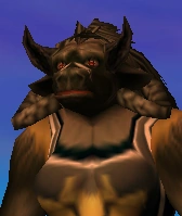 Endri Runetotem | Moon Guard Wiki | Fandom