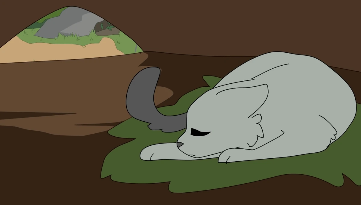 Warrior & Apprentice Dens | Moonkitti's StoneClan Wiki | Fandom