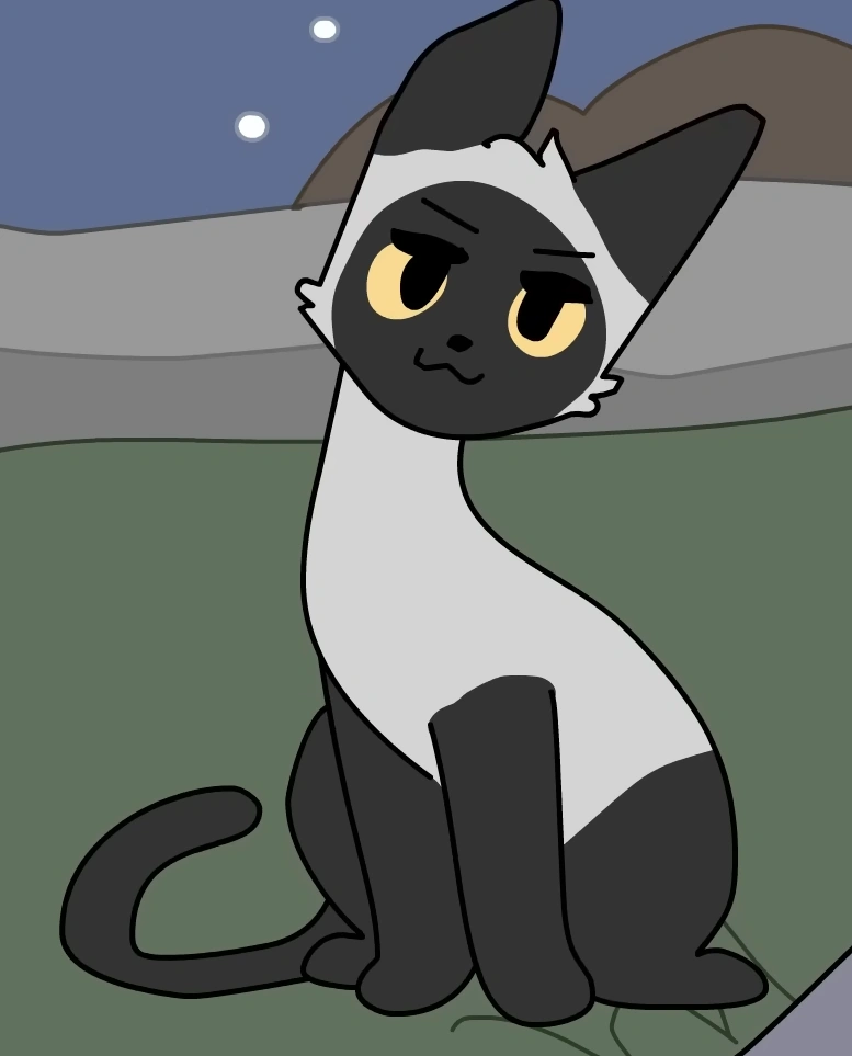 Ravendrop | Moonkitti's StoneClan Wiki | Fandom